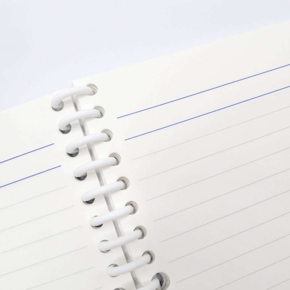 Splendorous Strokes Illustrations